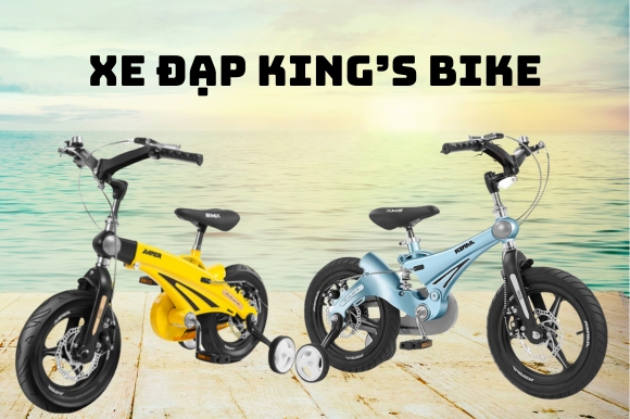 Giới thiệu | Xe đạp King Bike